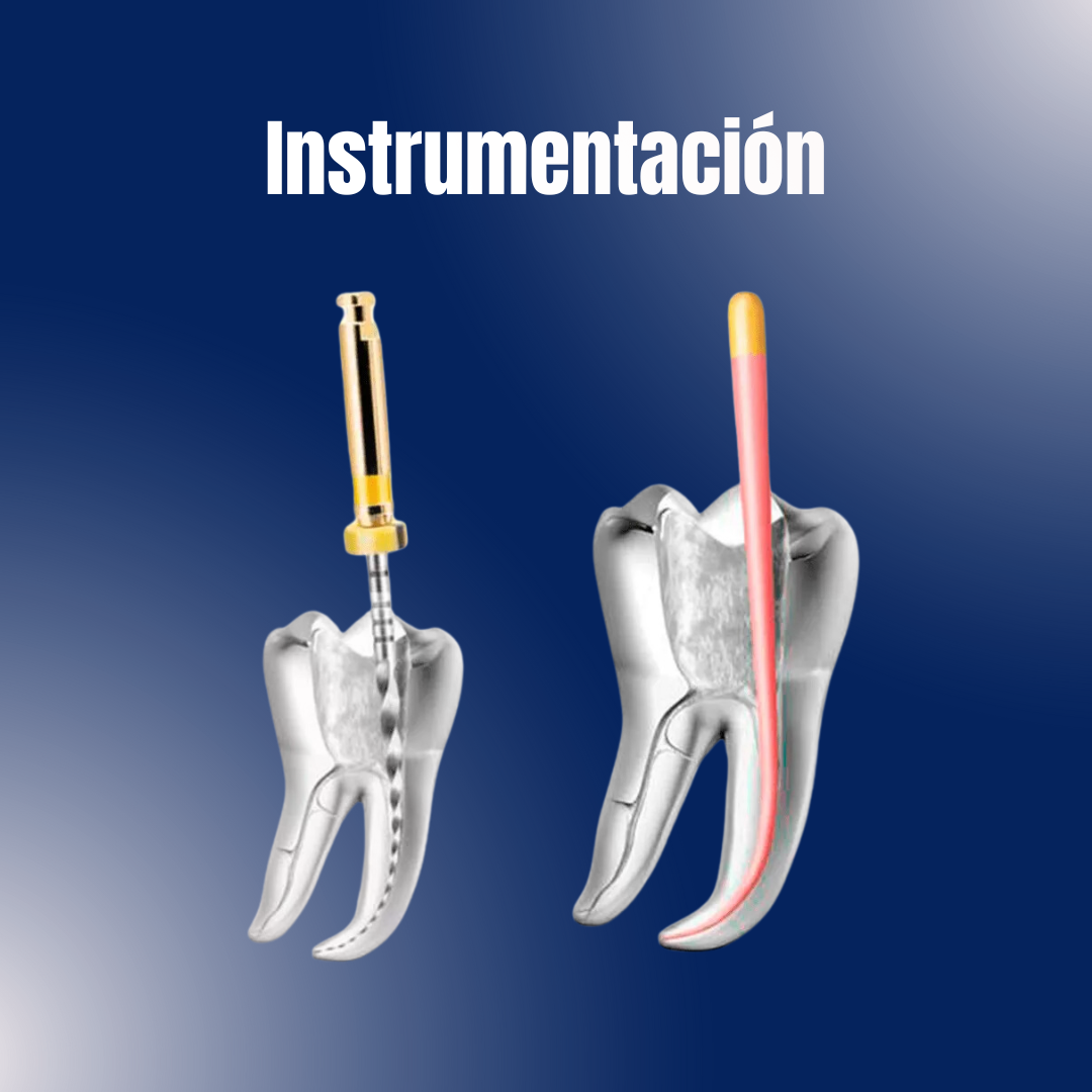 INSTRUMENTACIÓN – Lothus Medical Technology
